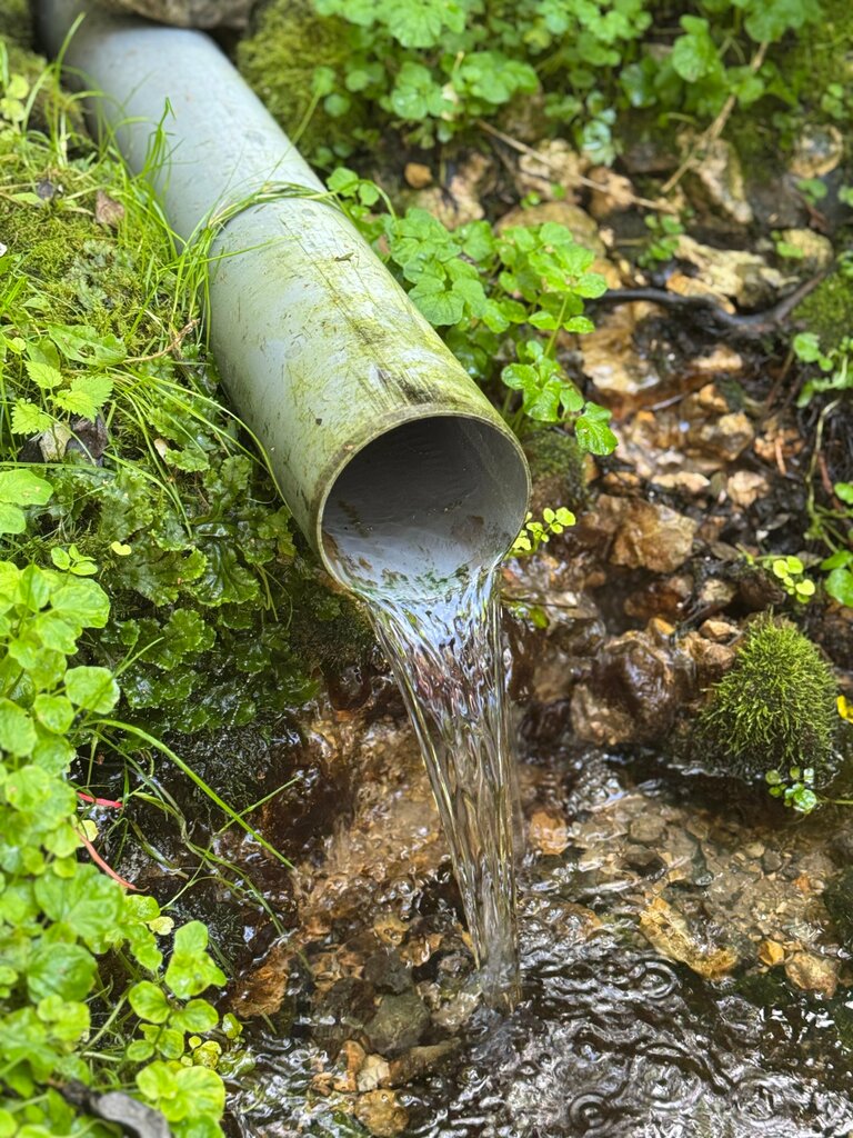 Pınar, çay Spring, stream, Moskova ve Moskovskaya oblastı, foto