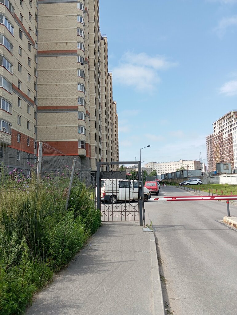 Özel pasta siparişi Biskviki, Saint‑Petersburg, foto