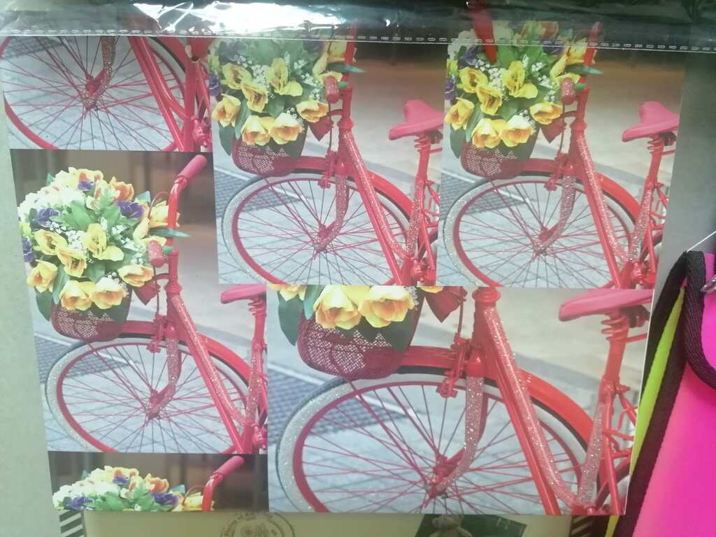 Fotokopi dükkanları Копицентр, Otradnoe, foto