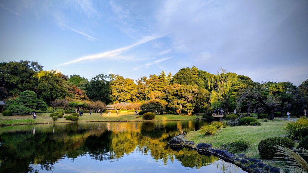 Kültür ve eğlence parkları Shinjuku Central Park, Tokyo, foto