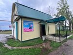 Алиса (Tsentralnaya ulitsa No:13, selo Ryazanovka), market  Orenburgskaya oblastından