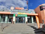 Ателье (Voroshilova Street No:23А), terziler  Tolyatti'den (Togliatti'den)