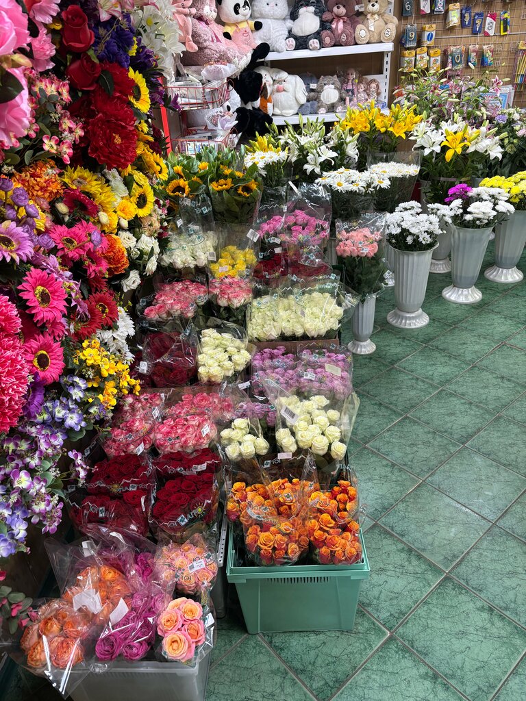 Kutlama ürünleri Цветы, Novorossiysk, foto