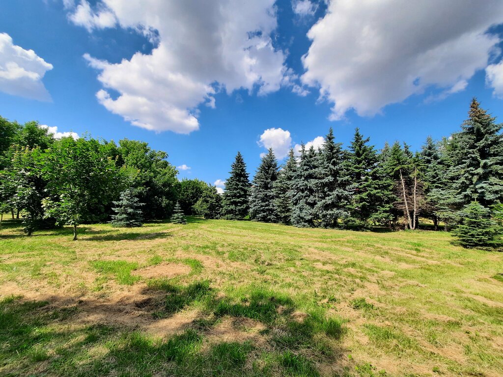 Kültür ve eğlence parkları Парк семейных деревьев, Minsk, foto