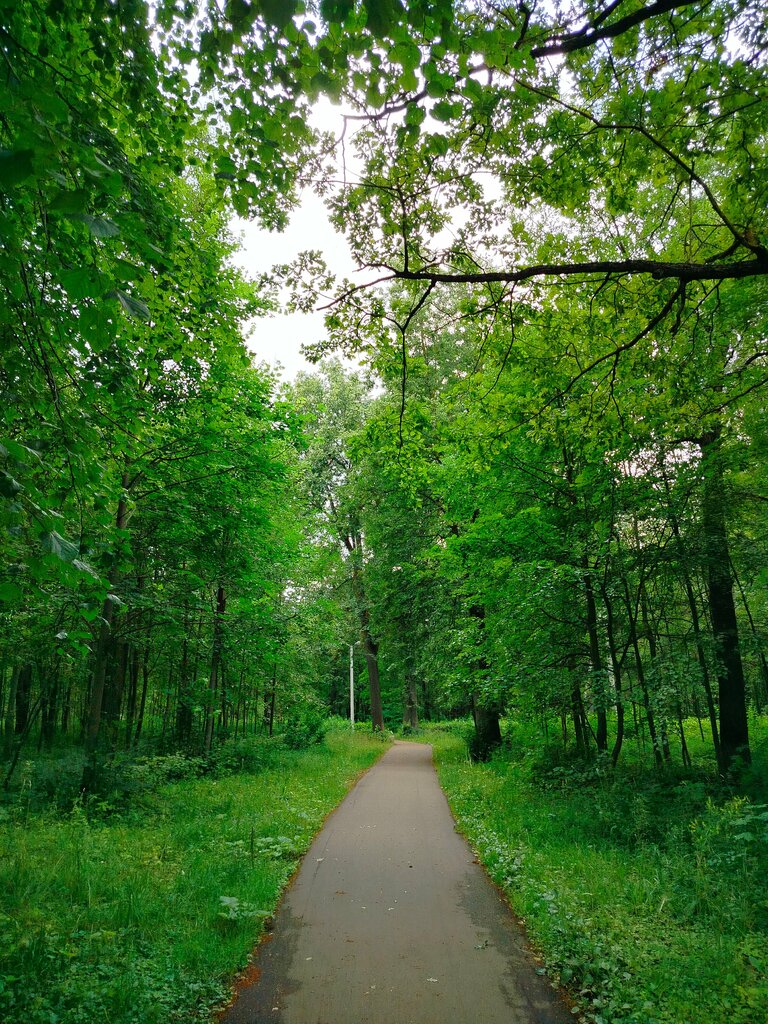 Kültür ve eğlence parkları Dubovaya Roscha, Kolomna, foto