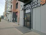 Mangal Doner (Ilıas Omarov kóshesi No:2), fast food  Astana'dan