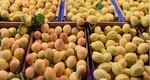 Gölge ticaret (İstanbul, Bağcılar, Mahmutbey Mah., İstoç Ticaret Merkezi, 44 Blok, 27), sanayi kuruluşu  İstanbul'dan