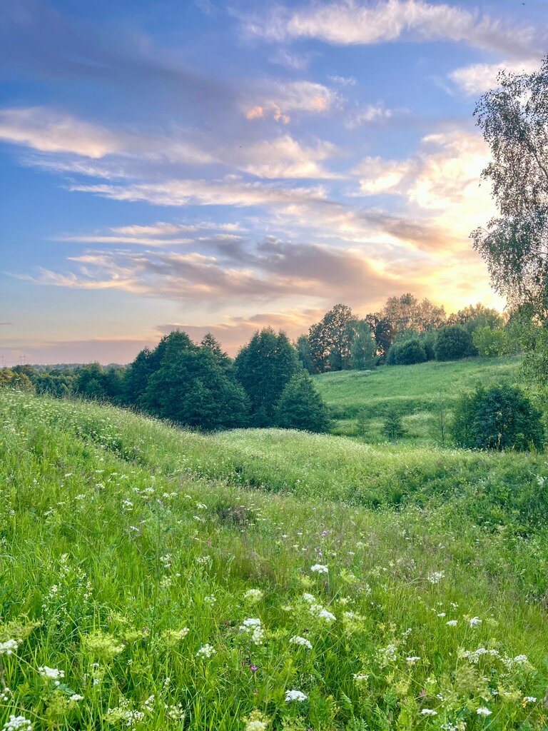 Pınar, çay Spring, stream, Moskova ve Moskovskaya oblastı, foto