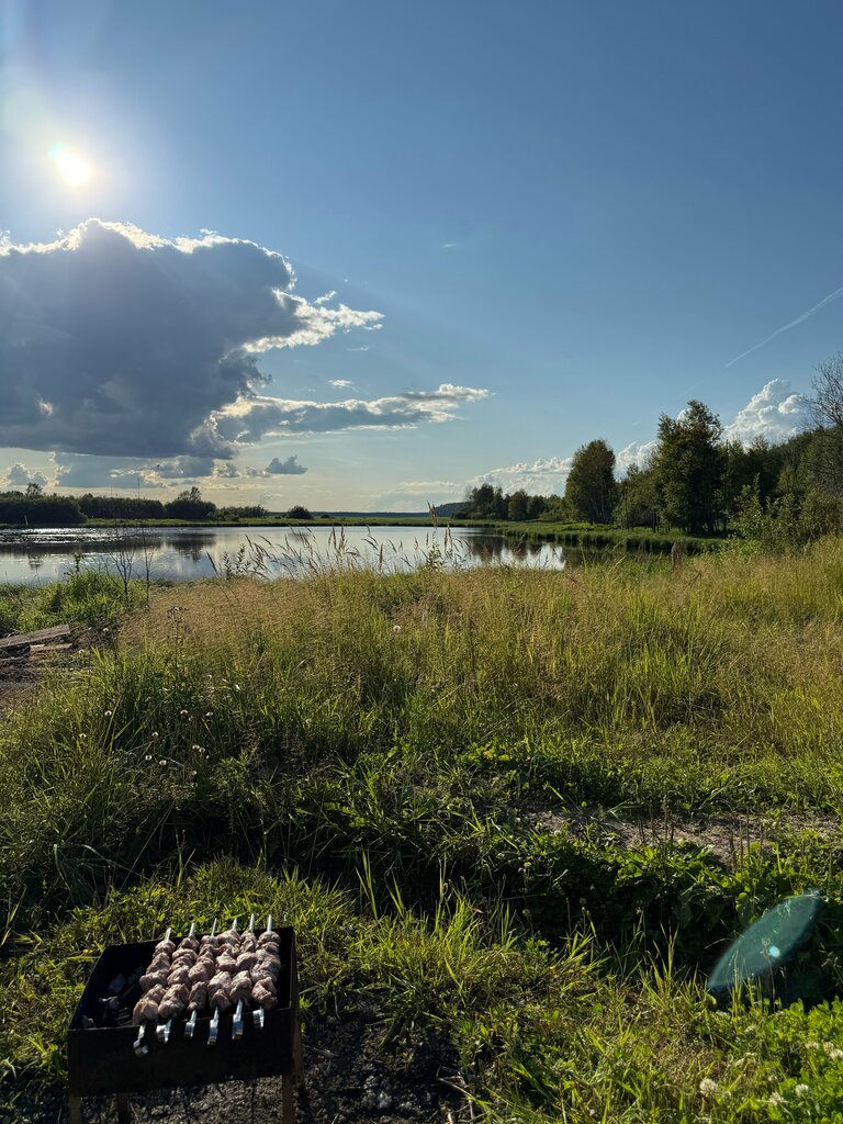 Piknik alanı Беседка для отдыха, Hantı‑Mansi Özerk Okrugu, foto