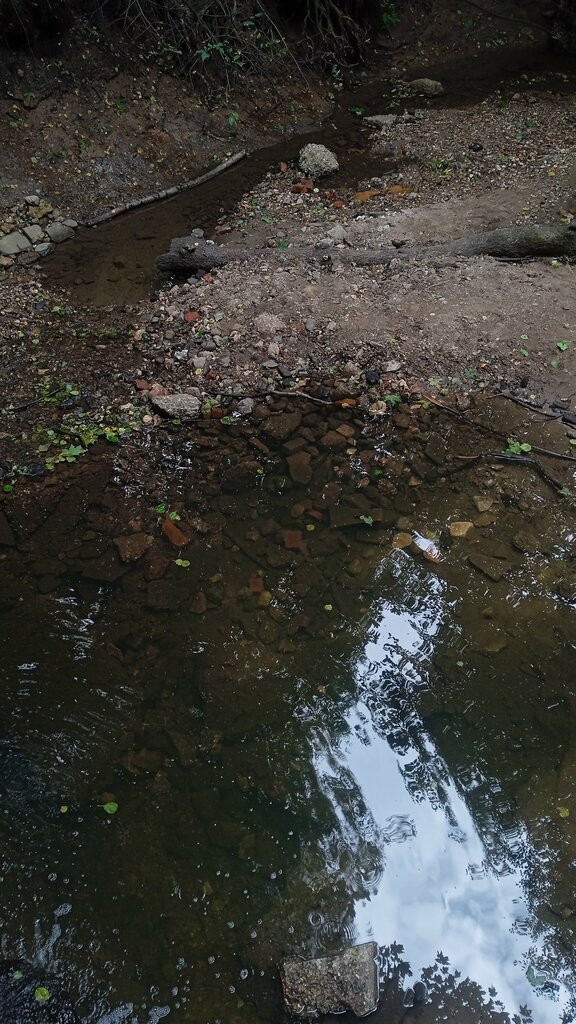 Pınar, çay Spring, stream, Moskova, foto