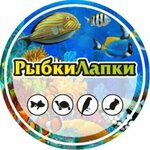 Рыбки Лапки (Pobedy Street No:36с6), petshop  Krasnoznamensk'ten