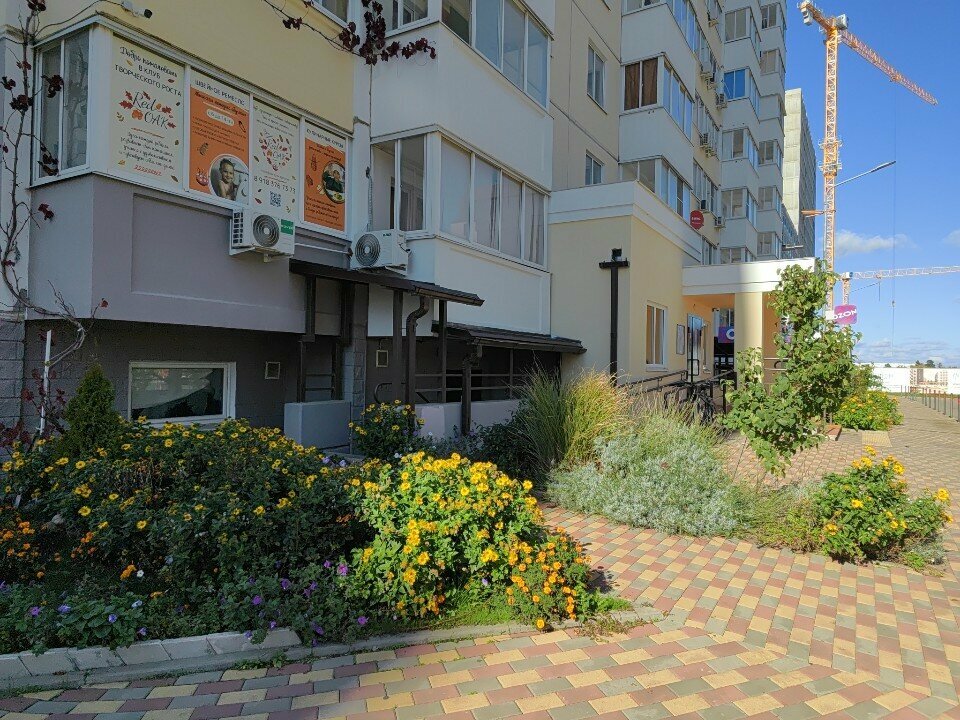 Meslek kursları Red Oak, Krasnodar, foto