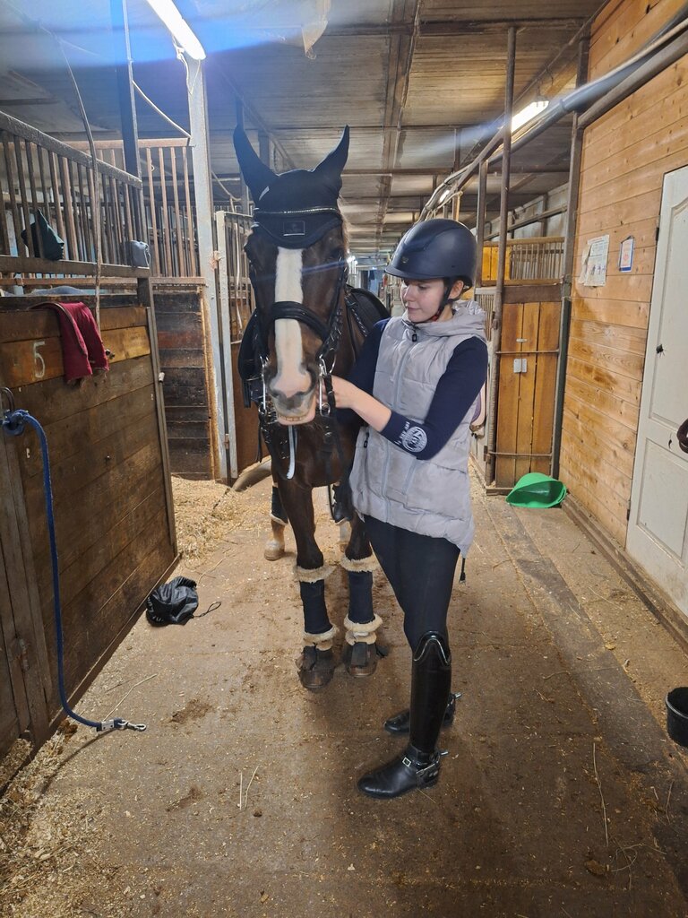 Binicilik ürünleri Lansada, Nijni Novgorod, foto