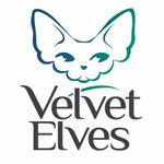 Velvet Elves Devon Rex Cattery (Dzerzhinskogo Street No:24), evcil hayvan yetiştiricileri  Tolyatti'den (Togliatti'den)