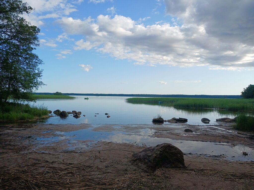 Plaj Пляж, Saint‑Petersburg ve Leningradskaya oblastı, foto