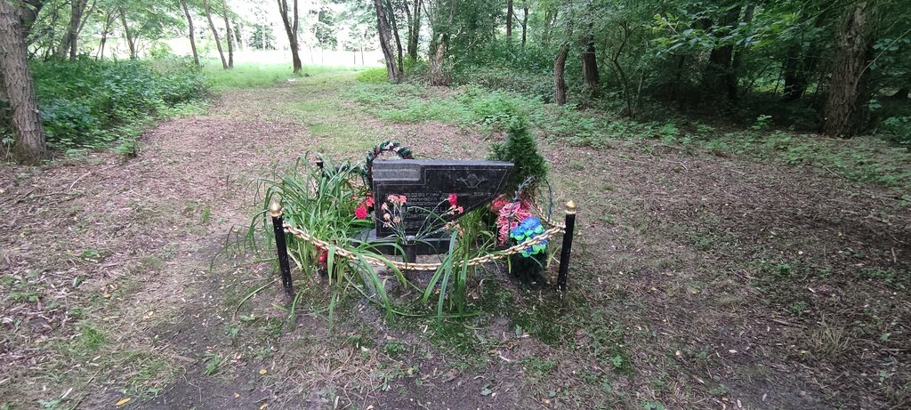 Anıt, heykel Подполковник Юрий Гаврилец, Brest, foto