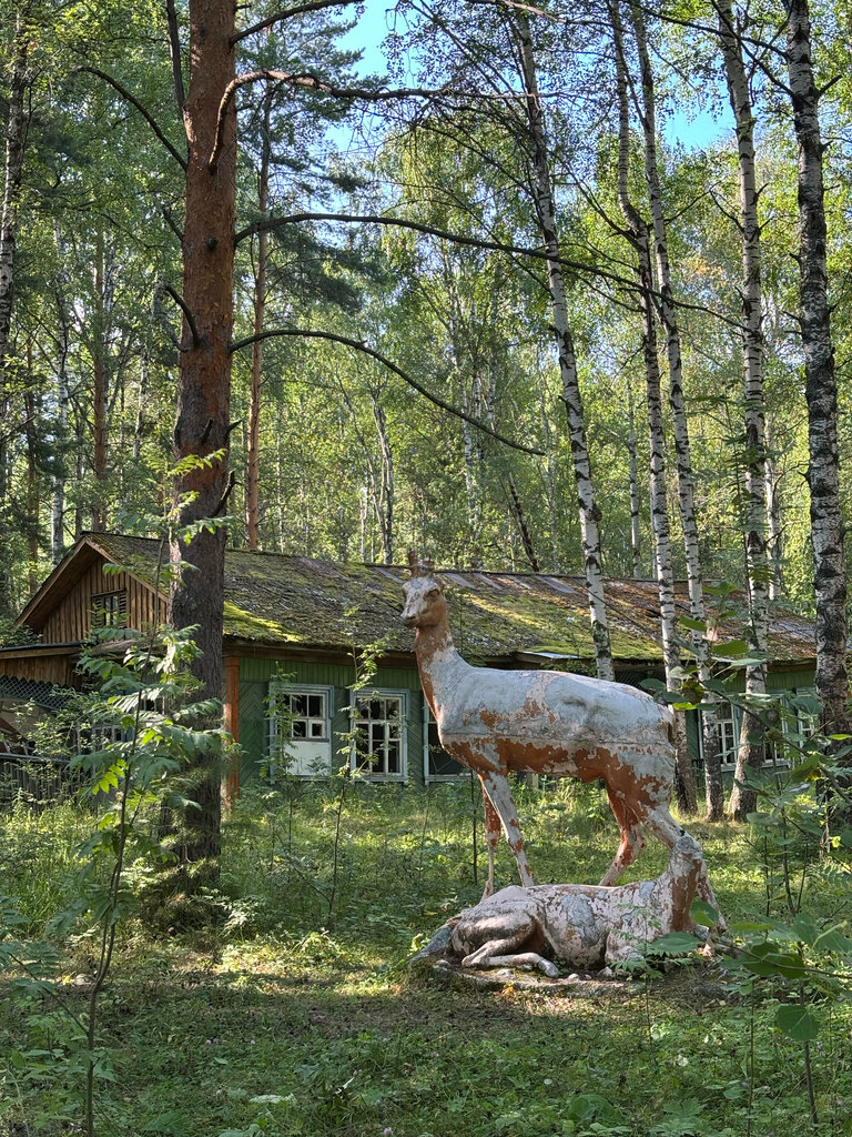Yaz kampı Лагерь Берёзка, Sverdlovskaya oblastı, foto