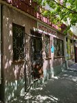Notary Buiraeva G. N. (Aıbergenov kóshesi No:10), noterler  Çimkent'ten (Şımkent'ten)