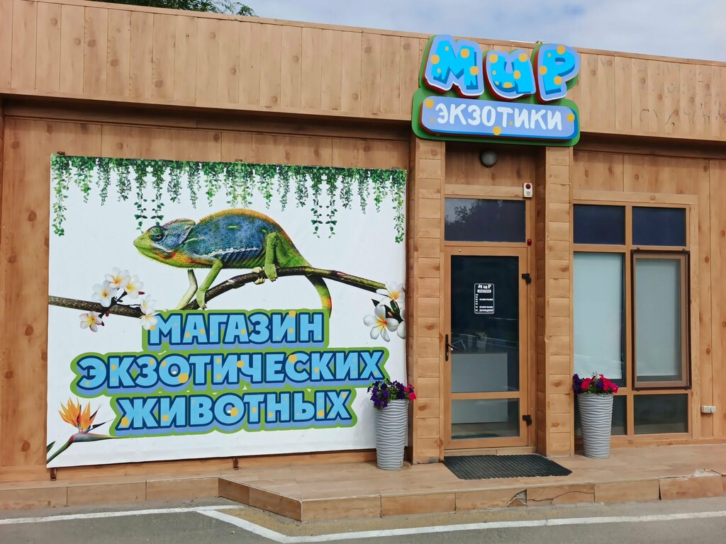 Petshop Мир Экзотики, Orenburg, foto