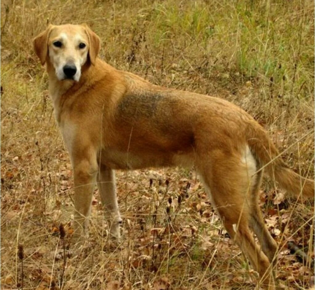 Bank Bench, Moskova, foto