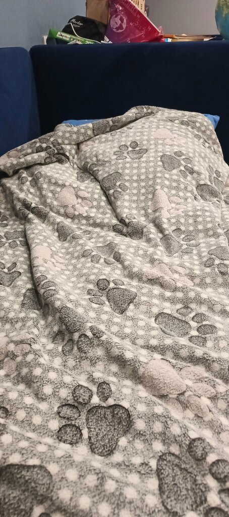 Otel Августин, Dünya, foto