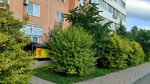 Соцветие (Zipovskaya Street No:46, mikrorayon Zavod Izmeritelnykh Priborov), sanat atölyeleri  Krasnodar'dan