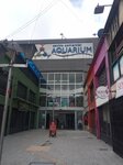 Centro Comercial Aquarium (Bogotá, Santa Fe, Carrera 13, 59-24), akvaryumlar  Bogota'dan