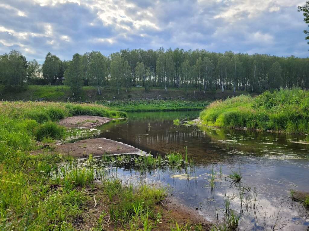 Doğa koruma alanı ООПТ памятника природы Устье реки Держи, Tverskaya oblastı, foto