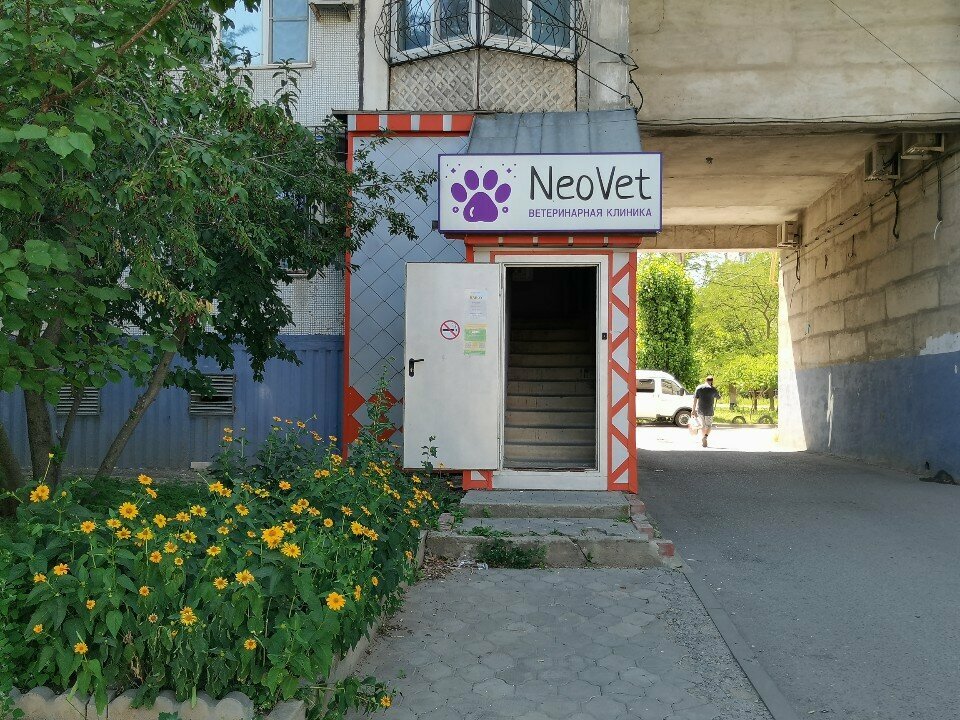 Veteriner klinikleri Neo Vet, Volgograd, foto