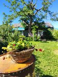 Частный дом для туристов (Klubnaya ulitsa No:8А), otel  Petrozavodsk'tan