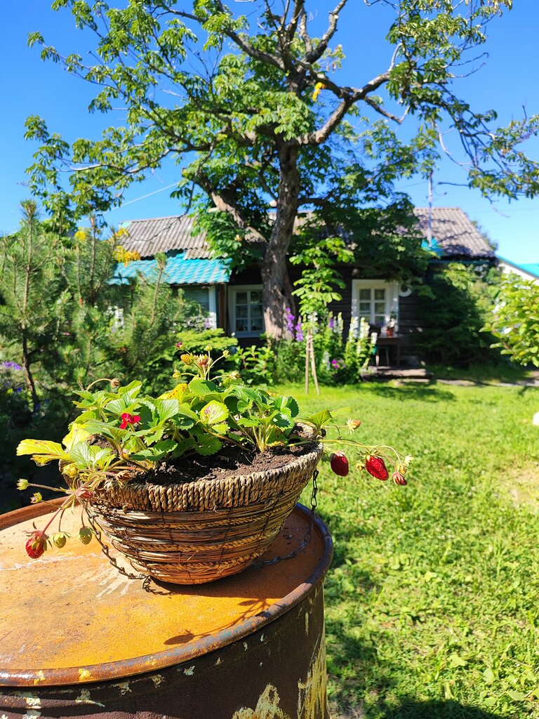 Kısa süreli konaklama Частный дом для туристов, Petrozavodsk, foto