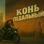 Конь Педальный (Varshavskoye Highway No:13), motosiklet satışı  Moskova'dan
