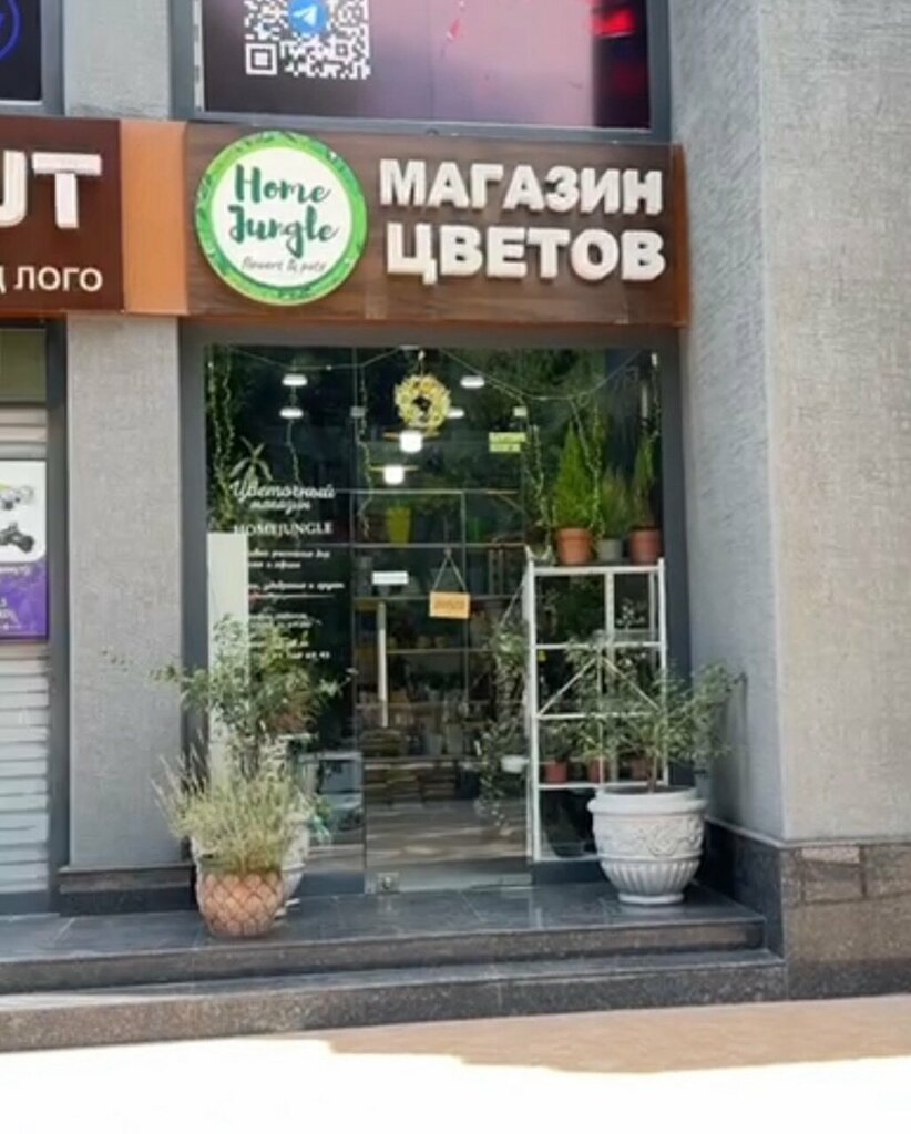 Çiçekçiler Homejungle, Taşkent, foto