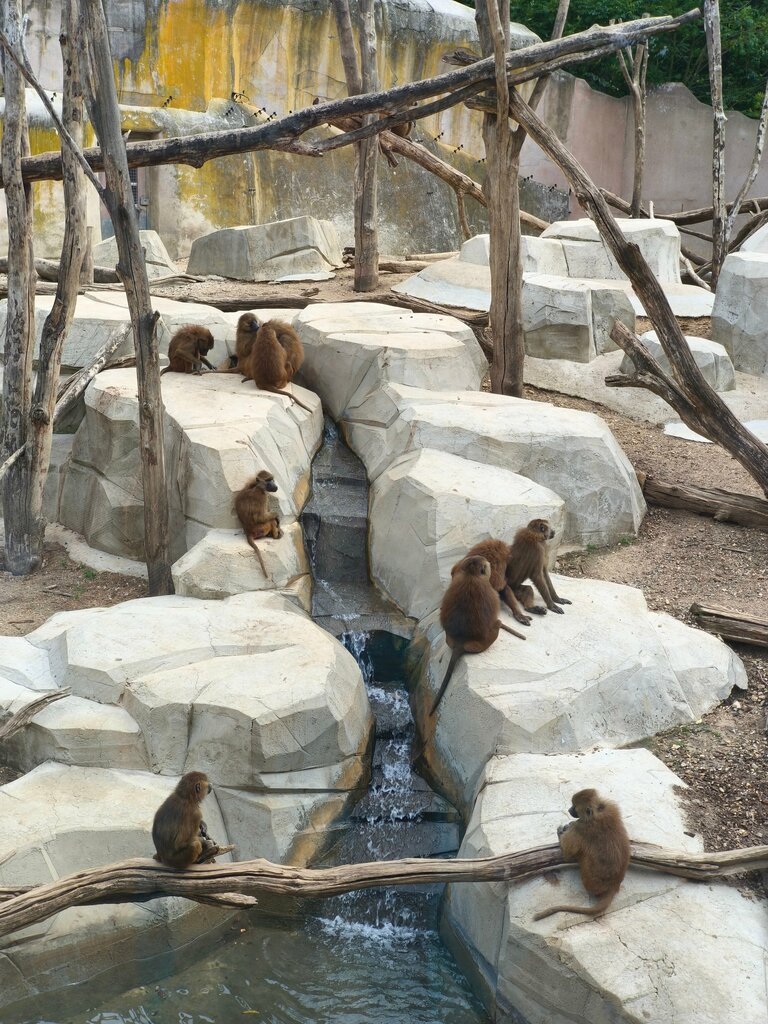 Hayvanat bahçeleri Paris Zoological Park, Paris, foto