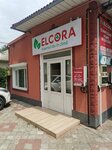 Elcora (strada Putnei No:28), klima satışı  Kişinev'den