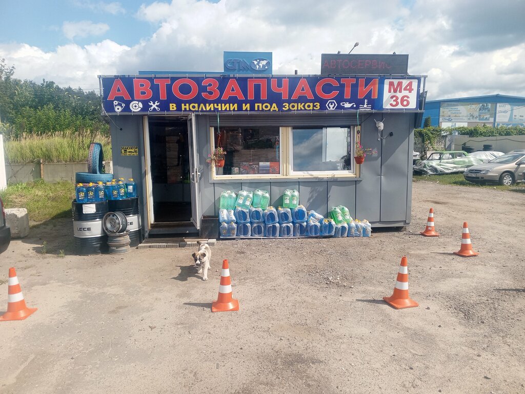 Otomobil servisi Гараж М4 Автосервис 36, Voronejskaya oblastı, foto