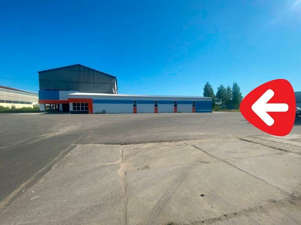 Elektronik eşya mağazaları DNS Технопоинт, Arhangelsk, foto