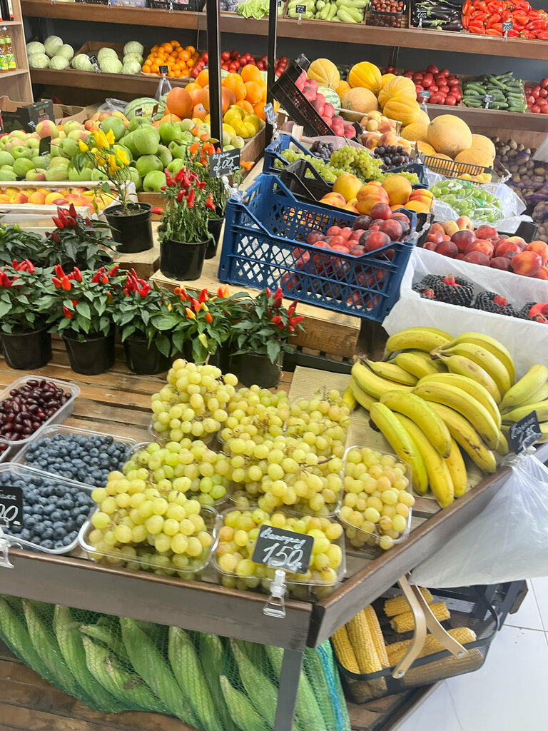 Manavlar Narr, Stavropol, foto