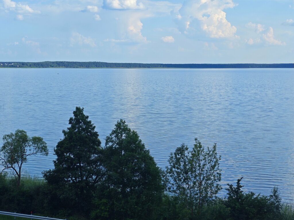 Anıt, heykel Партизанам Нарочанского края, Minskaya oblastı, foto