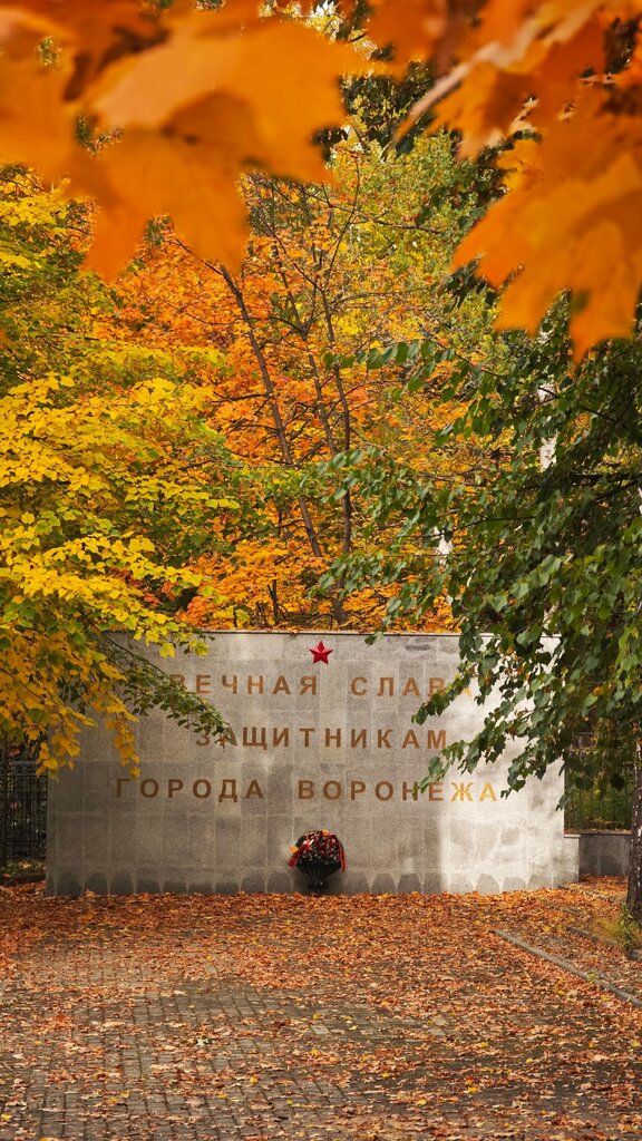 Mezarlıklar Kominternovskoye kladbishche, Voronej, foto
