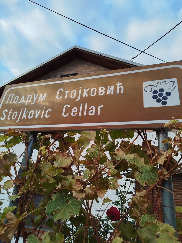 Bar Vinarija Podrum Ilic, Güney Backa İlçesi, foto