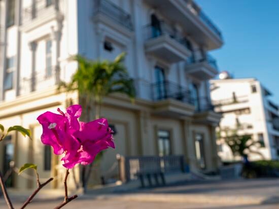 Otel City Center Rosa Hotel Phu Quoc, , foto