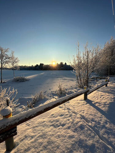 Market Олония, Karelya, foto