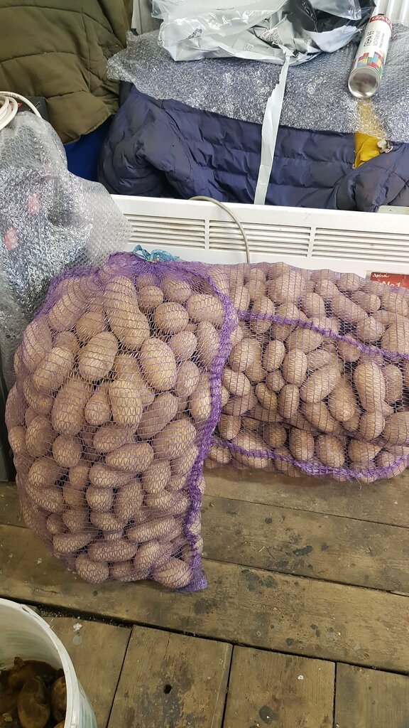 Manavlar Овощи и фрукты, Moskova ve Moskovskaya oblastı, foto