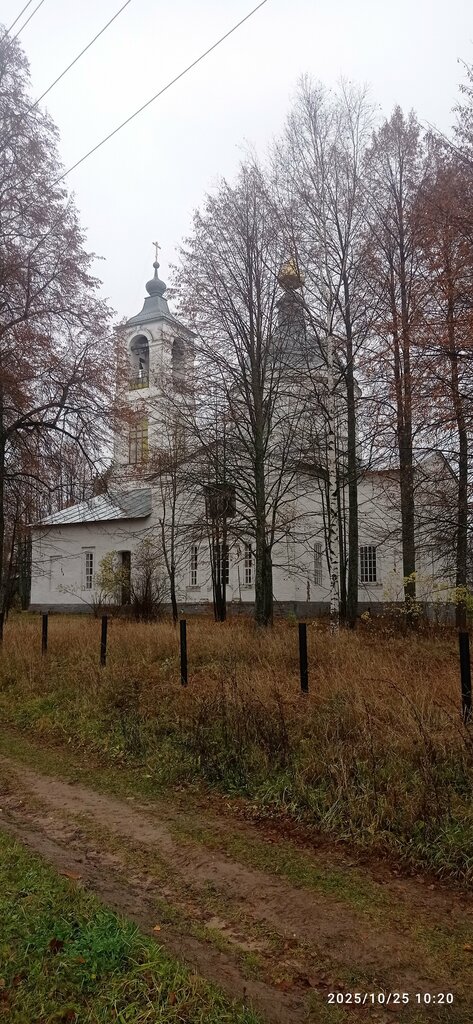 Ortodoks kiliseleri Церковь апостолов Петра и Павла, İvanovskaya oblastı, foto