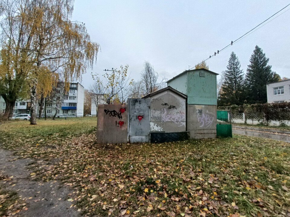 Kuşlar için büyük kafes Aviary , Tolyatti (Togliatti), foto