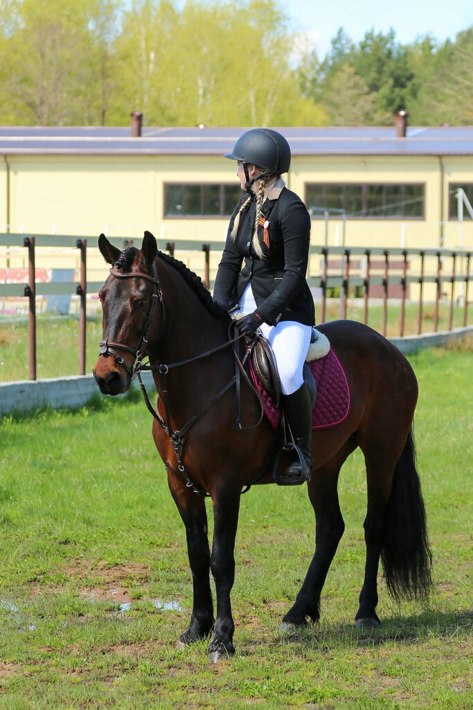 At ve binicilik kulüpleri Тандем, Nijegorodskaya oblastı, foto