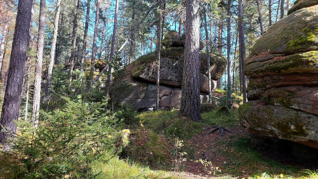 Dağ zirvesi Скала Мухоморы, Krasnoyarski krayı, foto