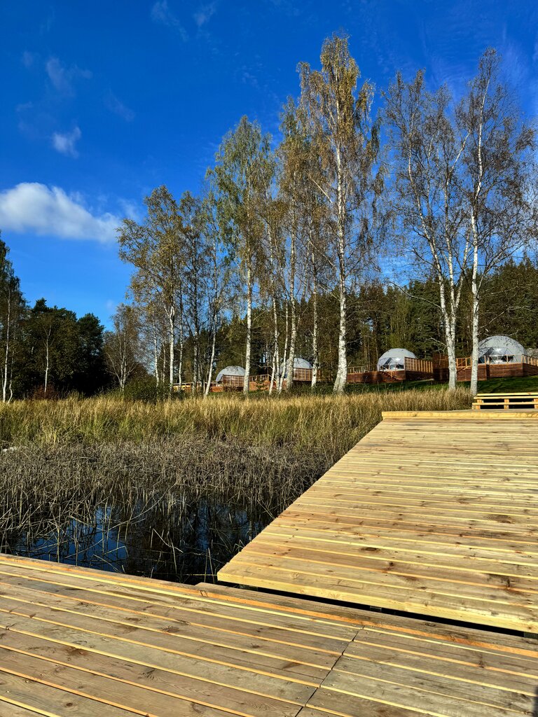 Kamp alanları Поляна, Karelya, foto