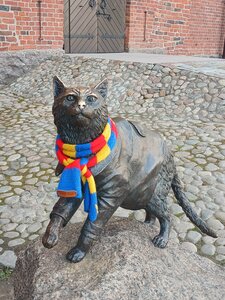 Кот Филимон (Leningrad Region, Vyborg, Nizhniy dvor), park, sokak heykeli  Vyborg'dan